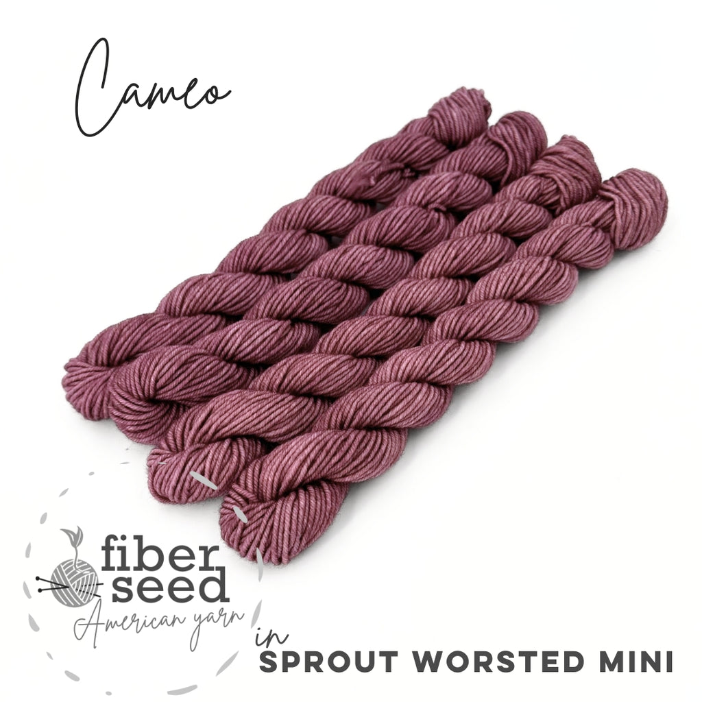 Cameo | Sprout Worsted Mini – Fiber Seed Yarn Co.