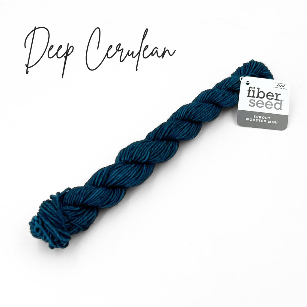 Deep Cerulean | Sprout Worsted Mini – Fiber Seed Yarn Co.