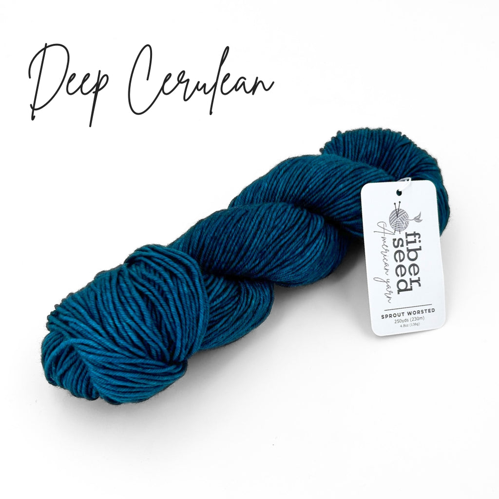 Deep Cerulean | Sprout Worsted – Fiber Seed Yarn Co.
