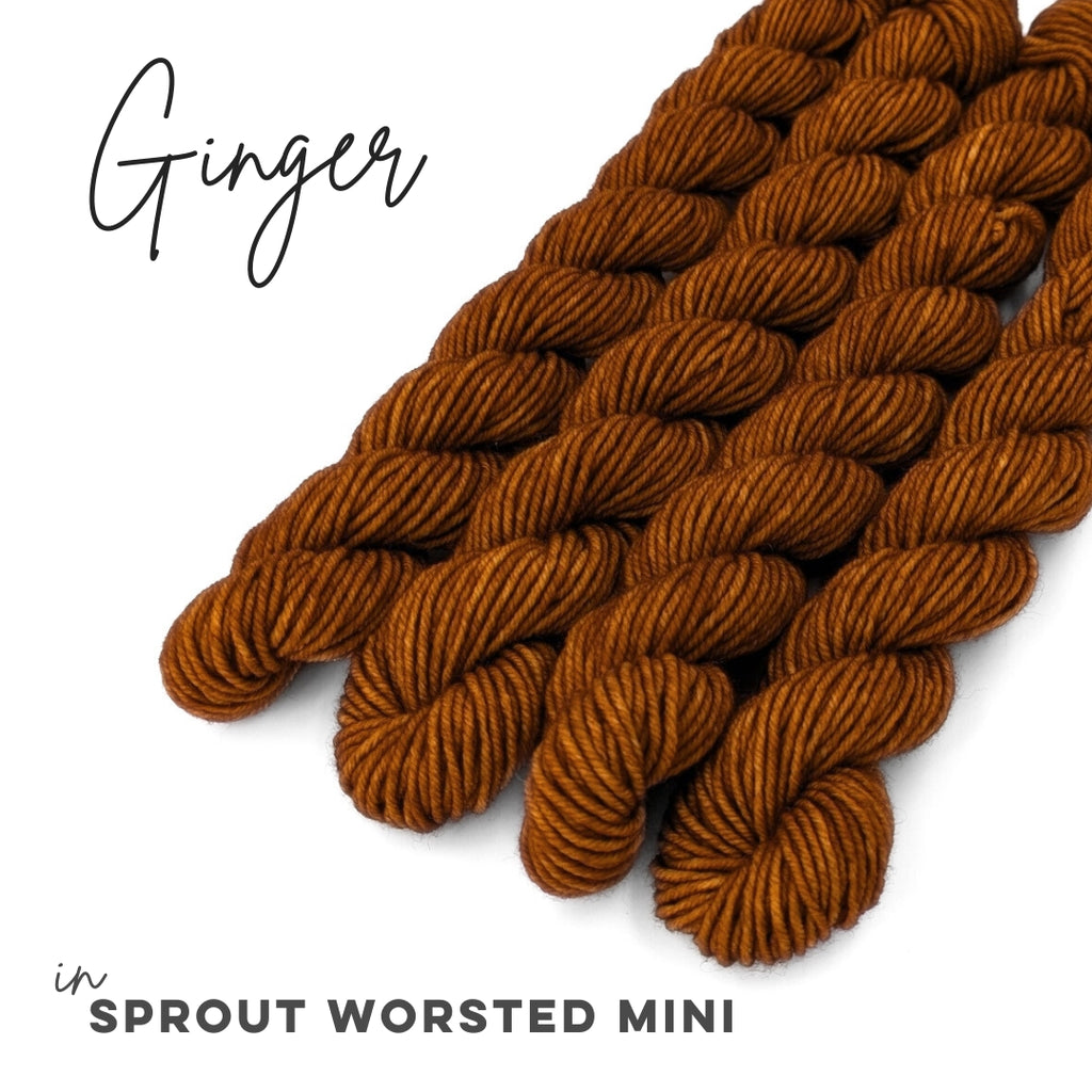 Ginger | Sprout Worsted Mini – Fiber Seed Yarn Co.