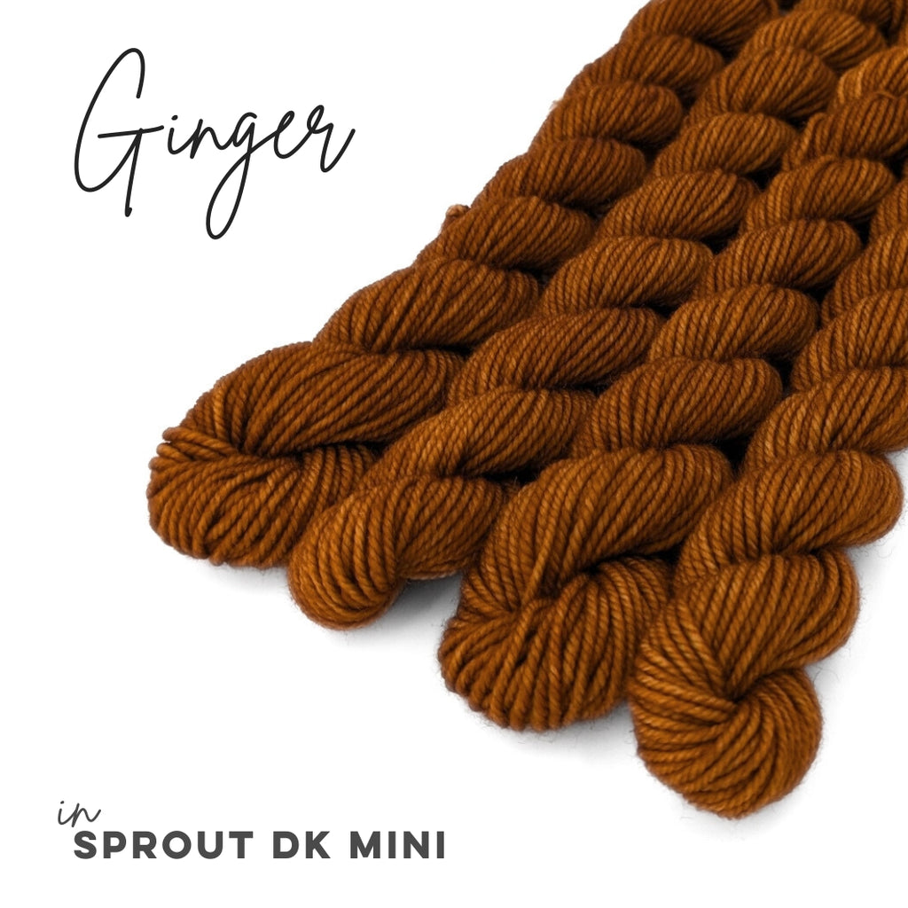Ginger | Sprout DK Mini – Fiber Seed Yarn Co.