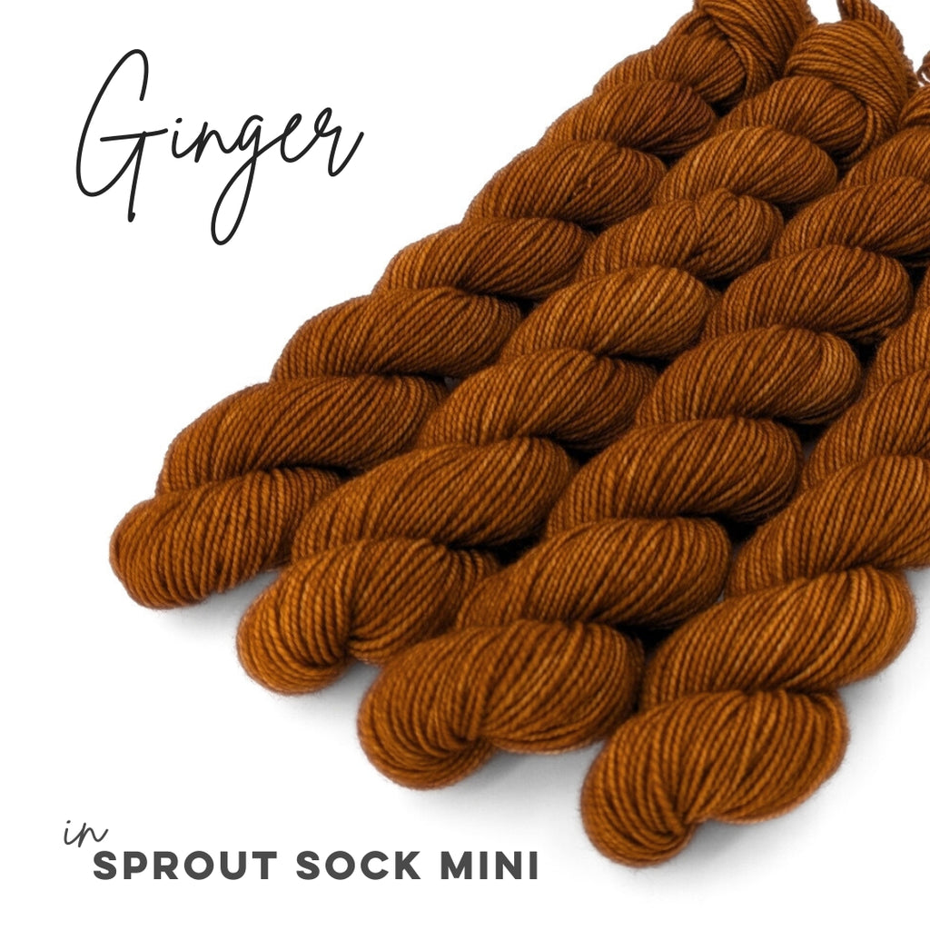 Ginger | Sprout Sock Mini – Fiber Seed Yarn Co.