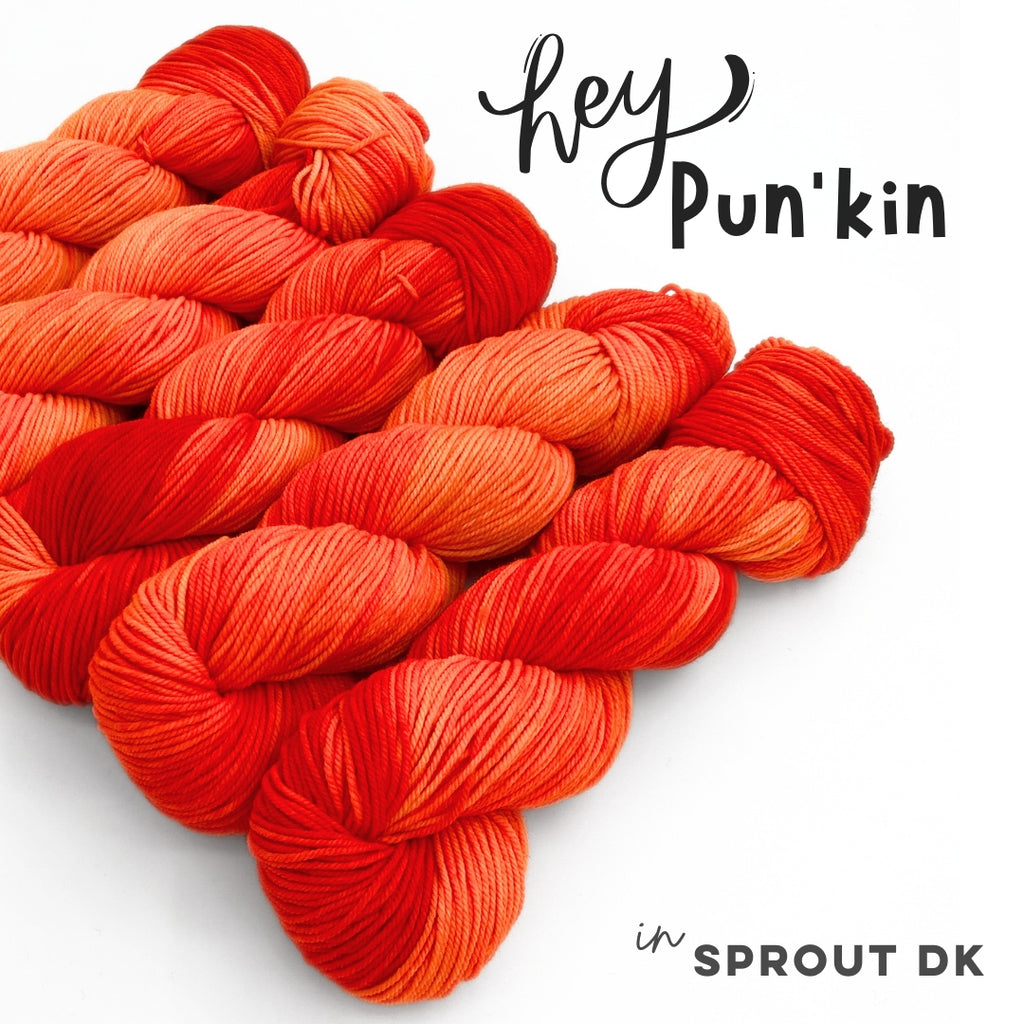 Hey Pun'kin | Sprout DK – Fiber Seed Yarn Co.