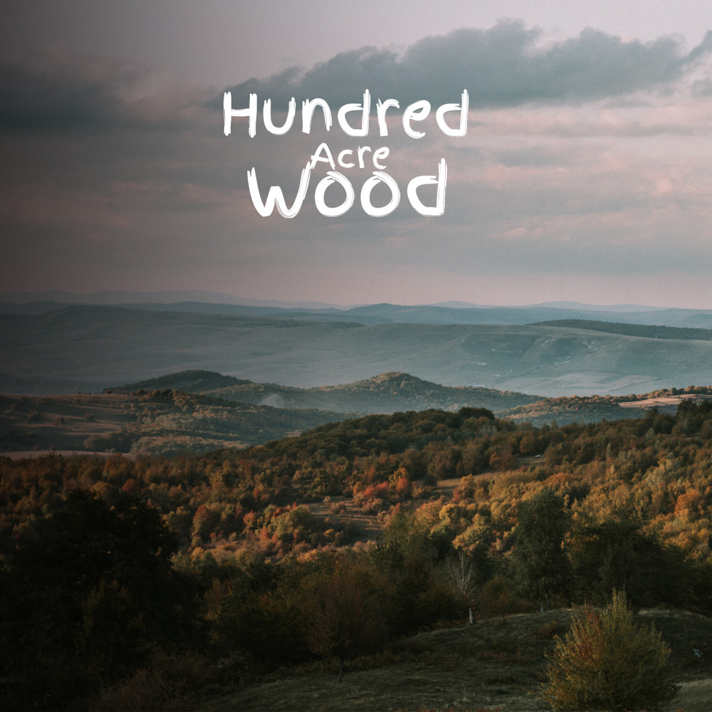 Fiber Seed, American Yarn – Fiber Seed Yarn Co.