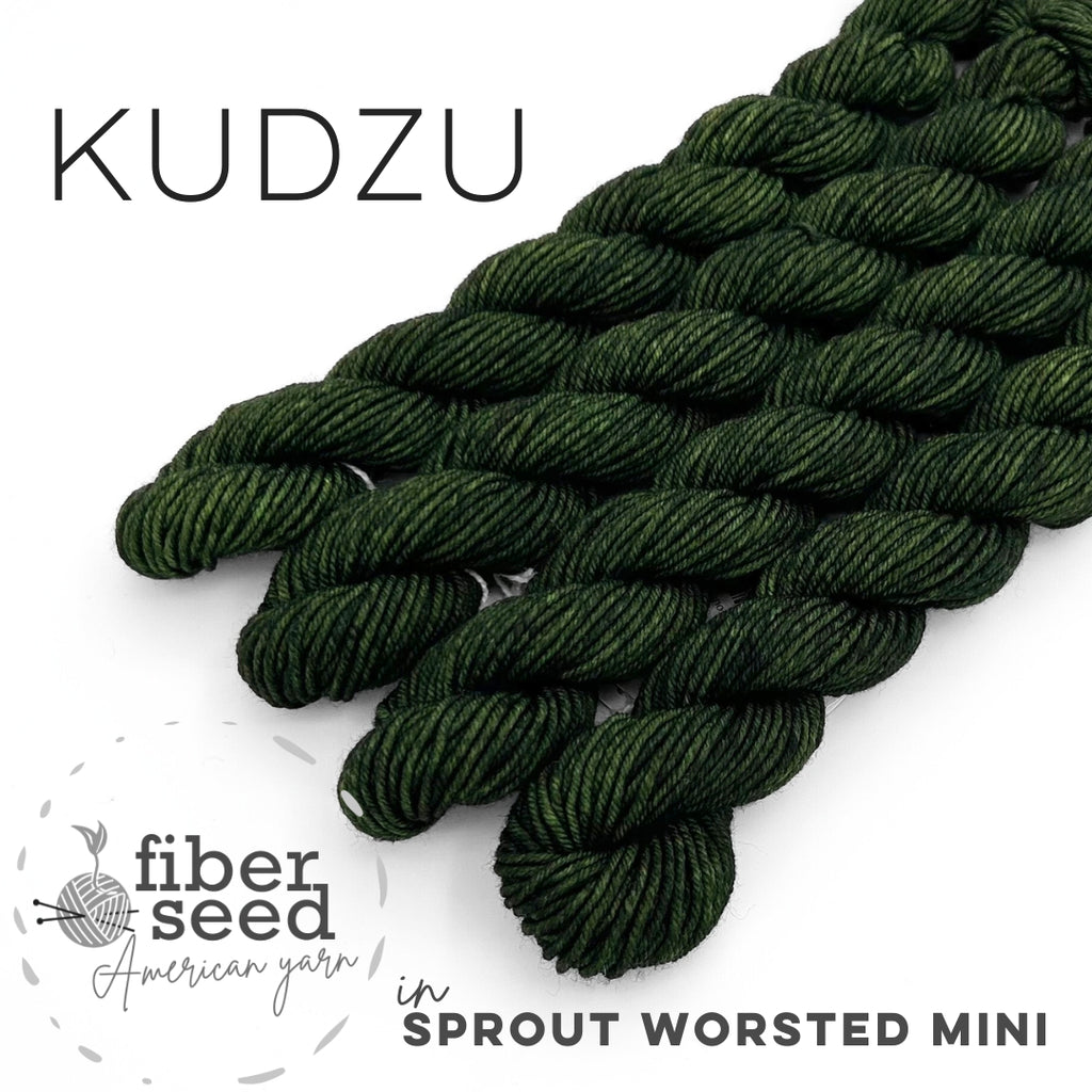 Kudzu | Sprout Worsted Mini – Fiber Seed Yarn Co.