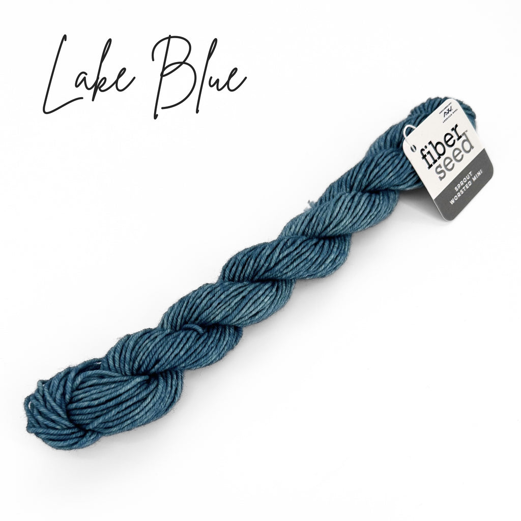 Lake Blue | Sprout Worsted Mini – Fiber Seed Yarn Co.