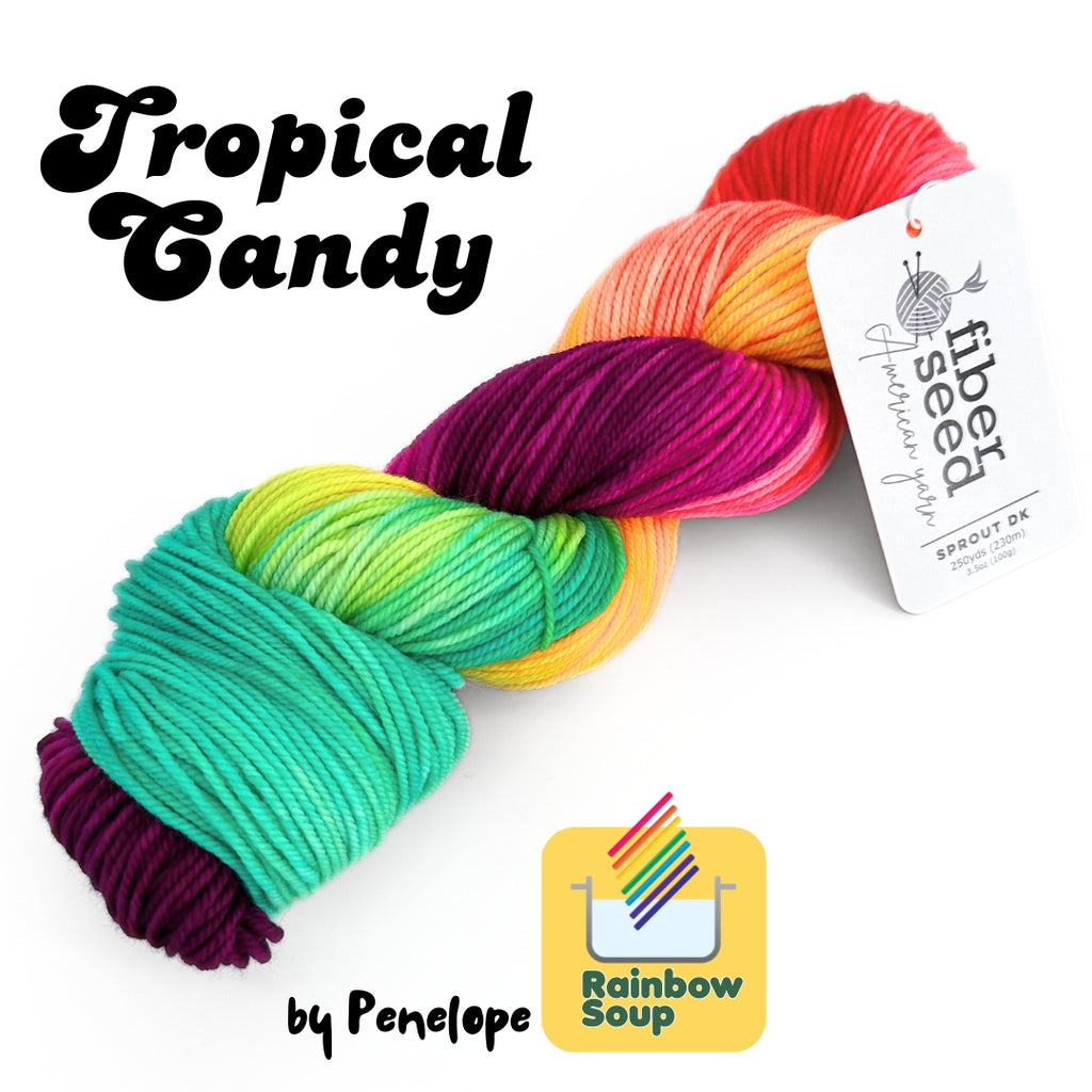 Tropical Candy | Sprout Worsted – Fiber Seed Yarn Co.