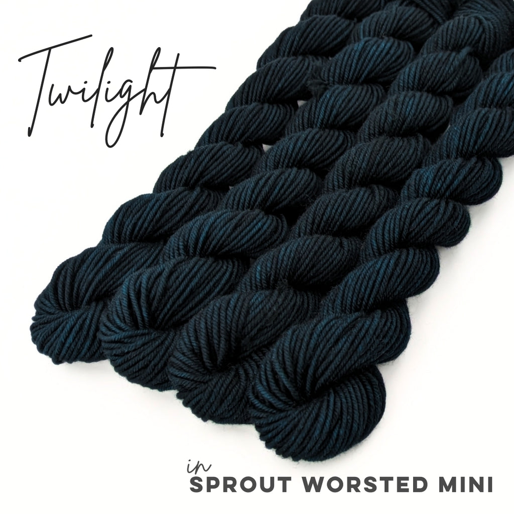 Twilight | Sprout Worsted Mini – Fiber Seed Yarn Co.