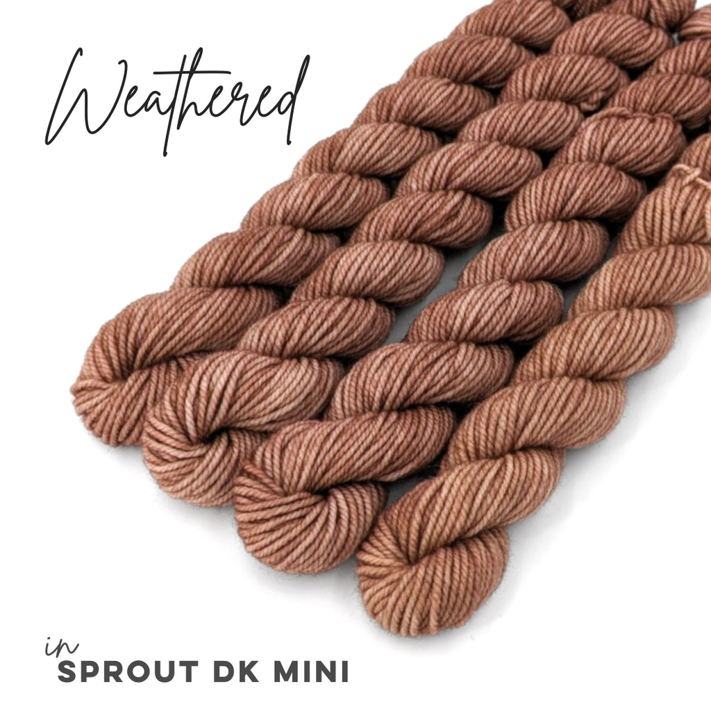 Weathered | Sprout DK Mini – Fiber Seed Yarn Co.