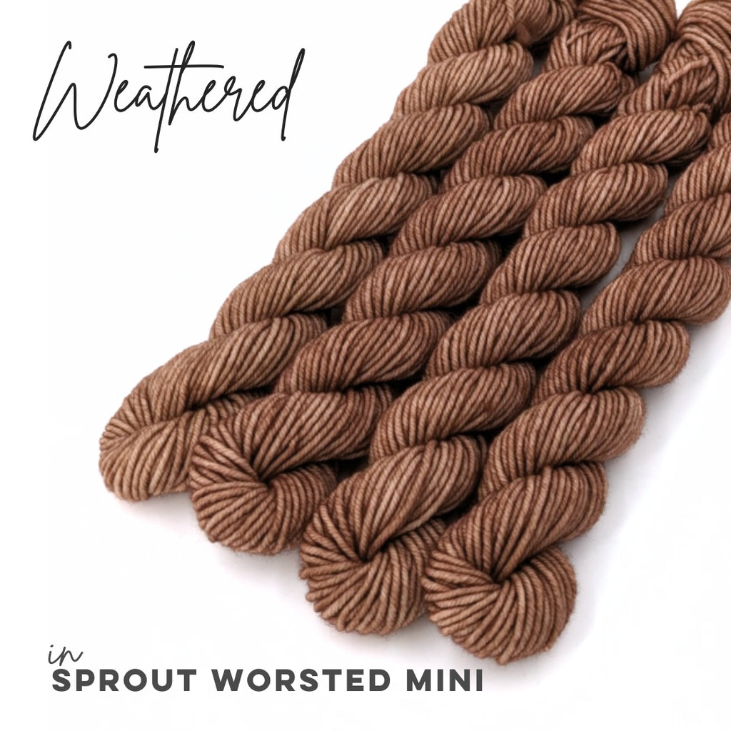 Weathered | Sprout Worsted Mini – Fiber Seed Yarn Co.